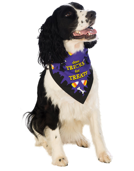 Pet halloween bandana store